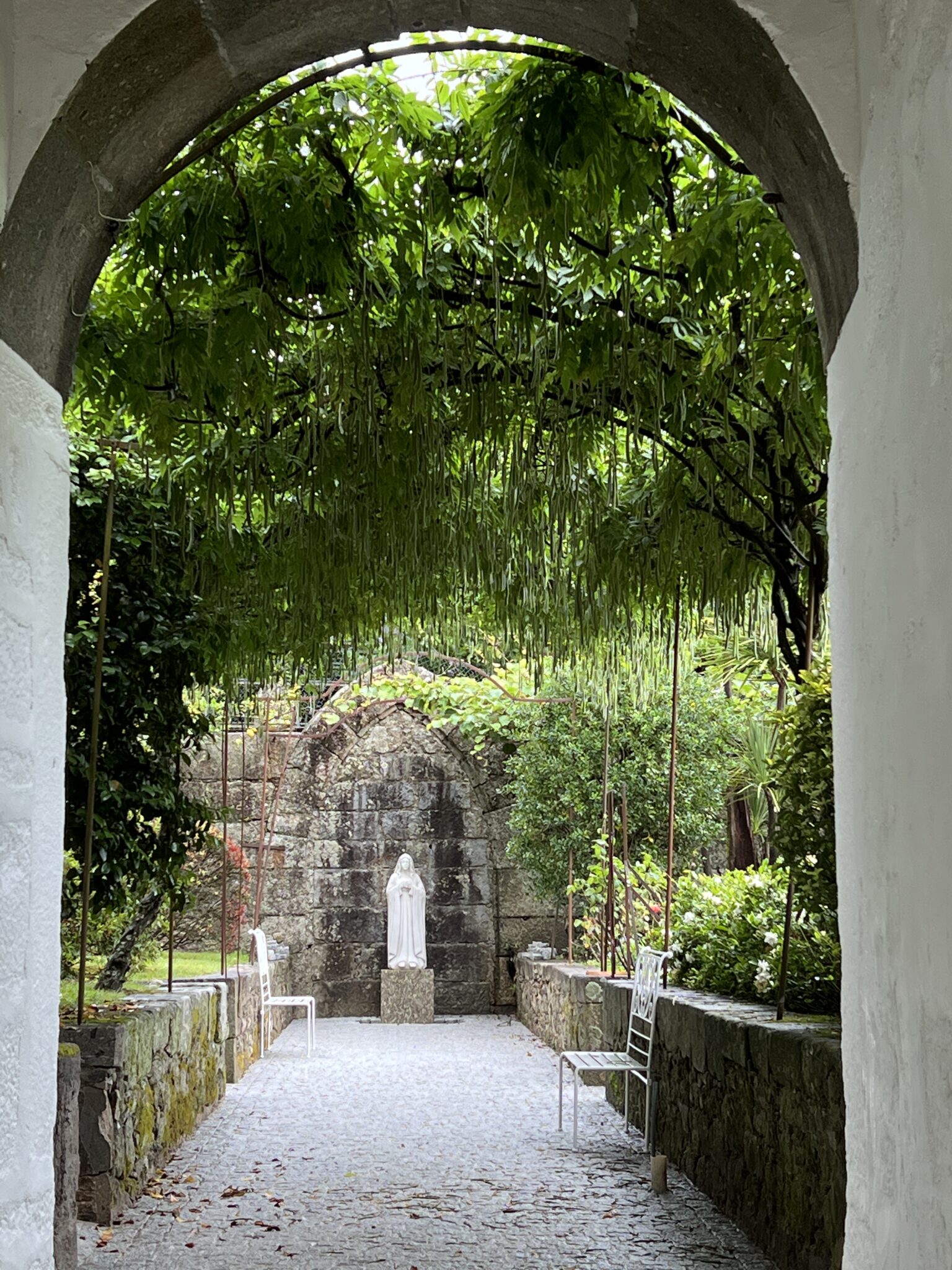 IDENTIDADE | UT VITAM